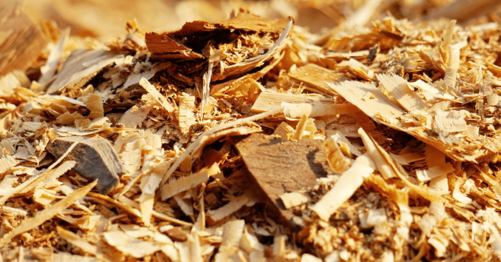 Waste Management Trends for a Sustainable 2025